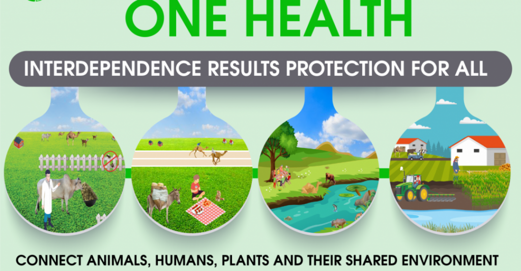 Somali One Health Centre - Somalia One Health Centre